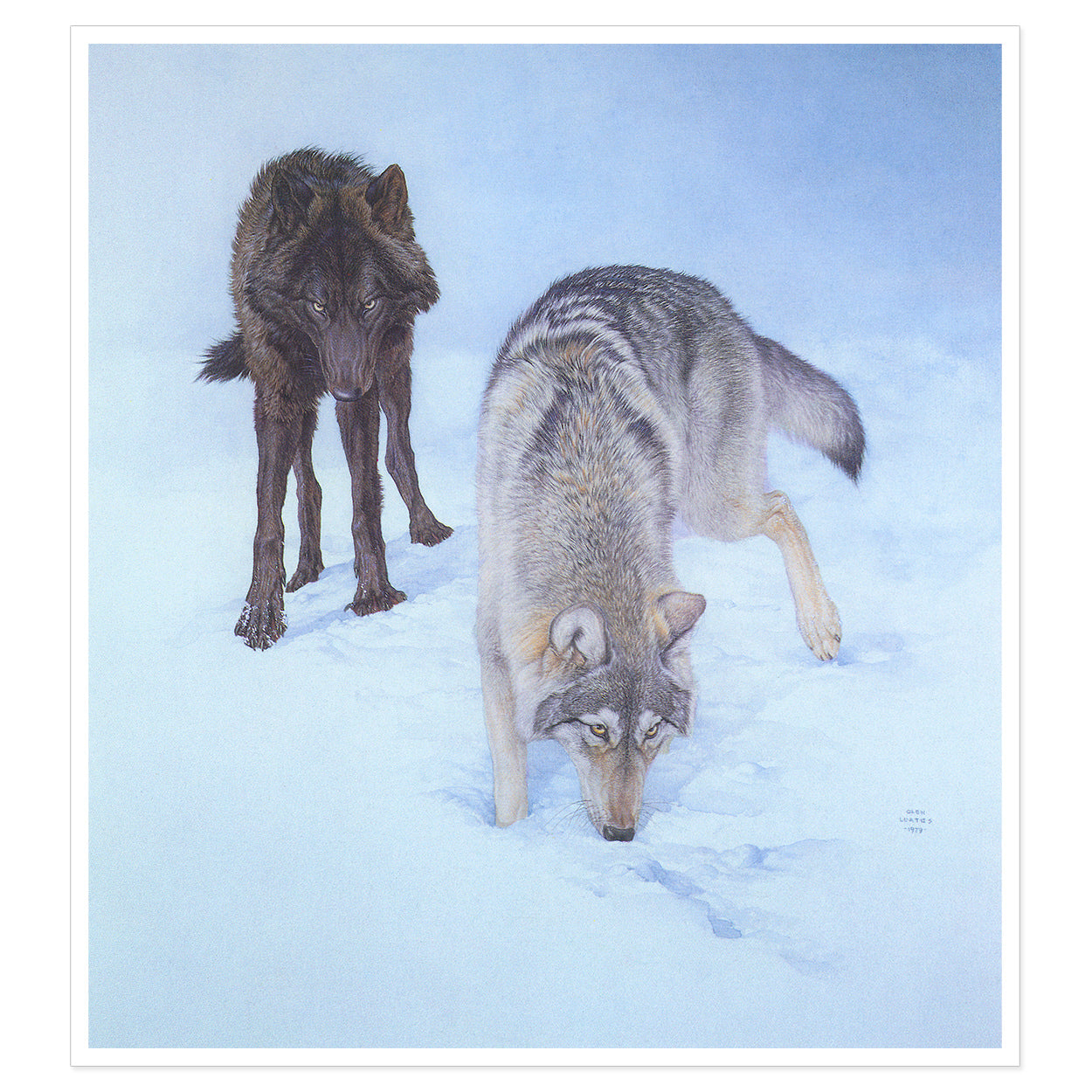 Timber Wolves by Glen Loates - The Glen Loates Gallery