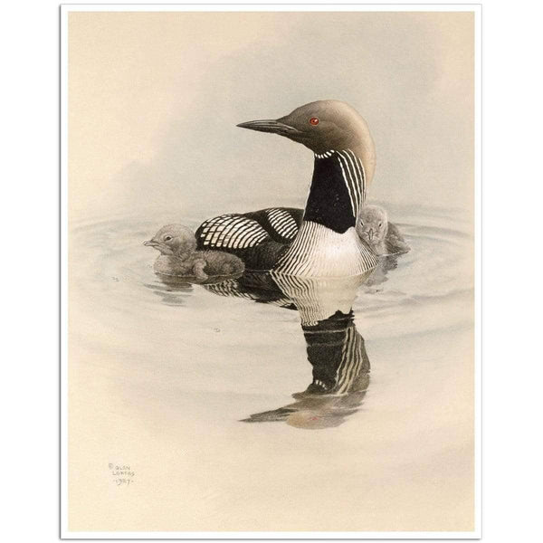 Arctic Loon With Young - Art Print by Glen Loates - The Glen Loates Gallery