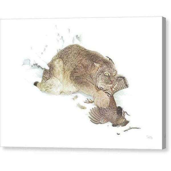 Canada Lynx with Ruffed Grouse - Canvas Print by Glen Loates - The Glen ...