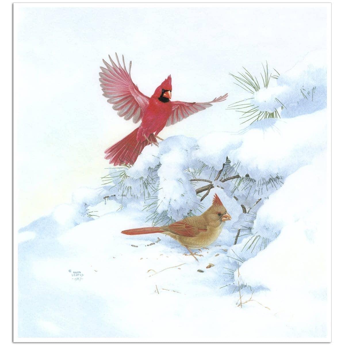 Cardinals in Snow - Art Print by Glen Loates - The Glen Loates Gallery