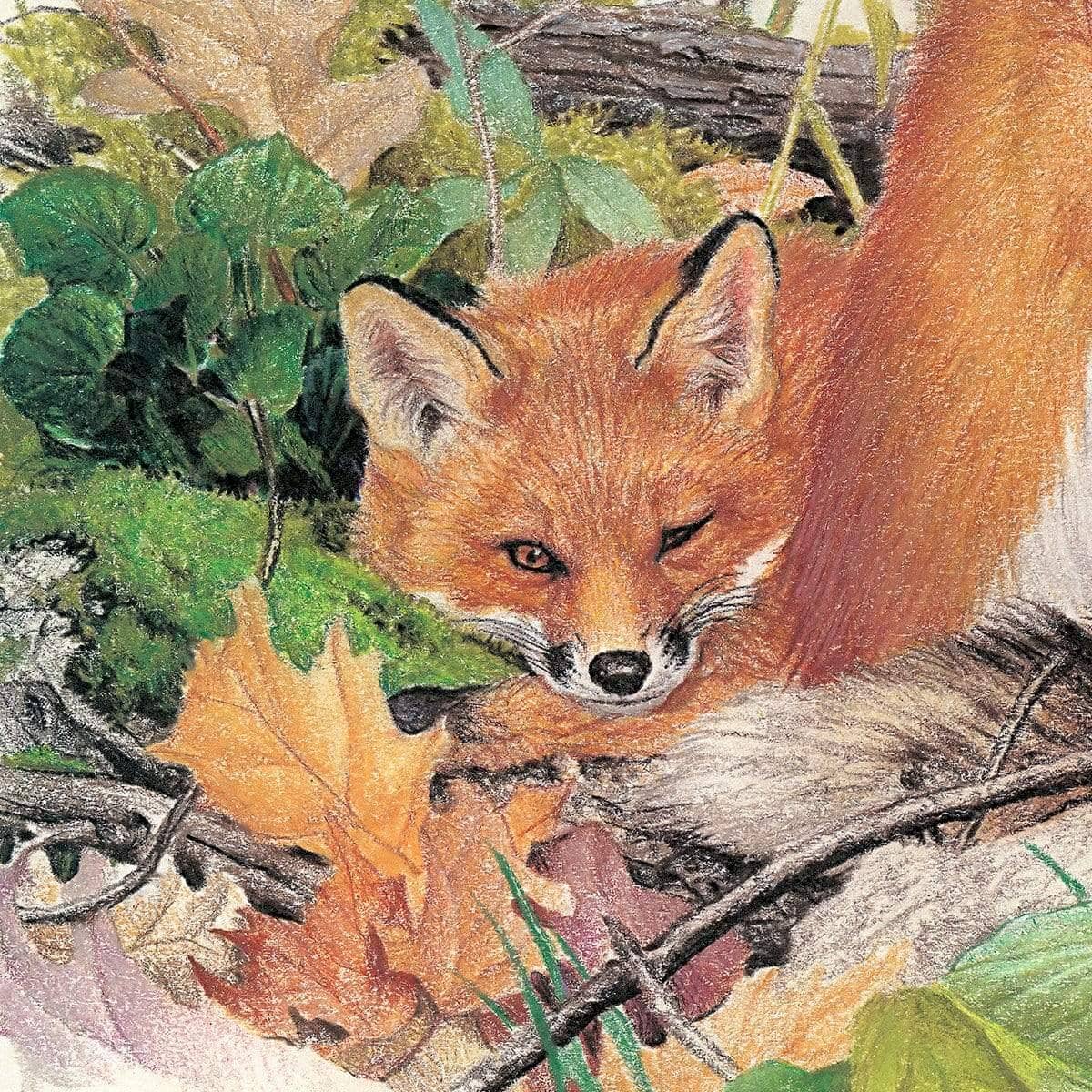 Red Fox and Kits - Art Print by Glen Loates - The Glen Loates Gallery