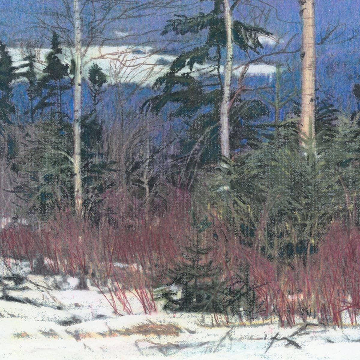 Saddleback - Art Print by Glen Loates - The Glen Loates Gallery